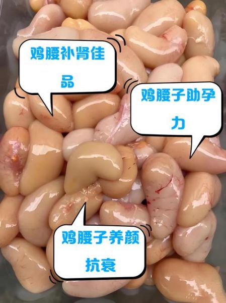 鸡腰子是什么部位_鸡腰子有什么功效-第2张图片-山城妙识 鸡腰子是什么部位_鸡腰子有什么功效-第2张图片-山城妙识