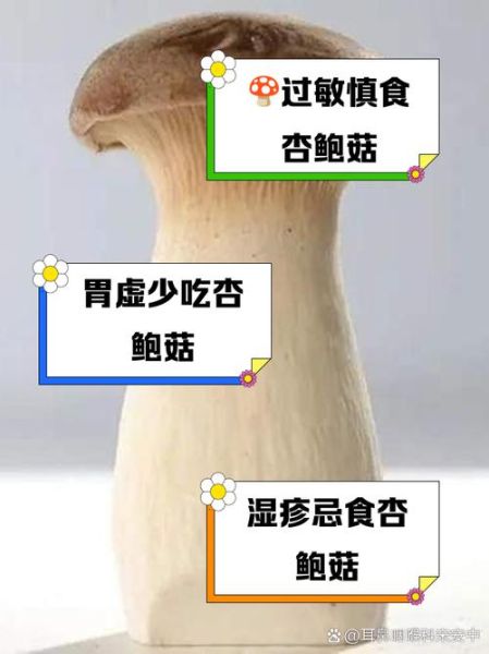 杏鲍菇不能和什么一起吃_杏鲍菇禁忌搭配有哪些-第1张图片-山城妙识