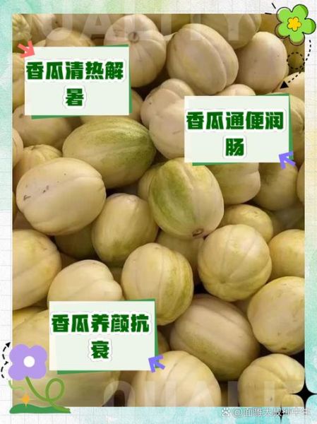 香瓜的功效与作用_香瓜的害处有哪些-第3张图片-山城妙识 香瓜的功效与作用_香瓜的害处有哪些-第3张图片-山城妙识