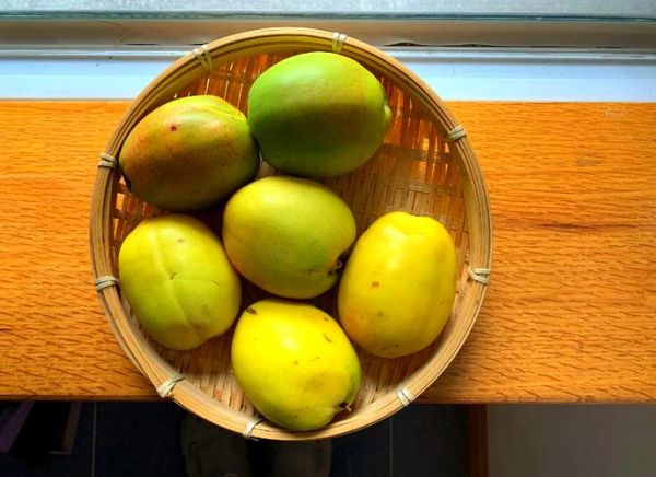 酸木瓜鱼怎么做_酸木瓜鱼做法窍门-第3张图片-山城妙识 酸木瓜鱼怎么做_酸木瓜鱼做法窍门-第3张图片-山城妙识