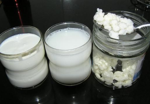 牛奶泡雪莲菌的禁忌_哪些人不能吃-第2张图片-山城妙识