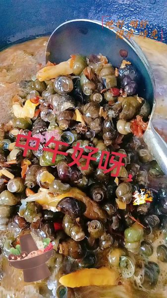 野生田螺能吃吗_野生田螺怎么处理才安全-第1张图片-山城妙识 野生田螺能吃吗_野生田螺怎么处理才安全-第1张图片-山城妙识