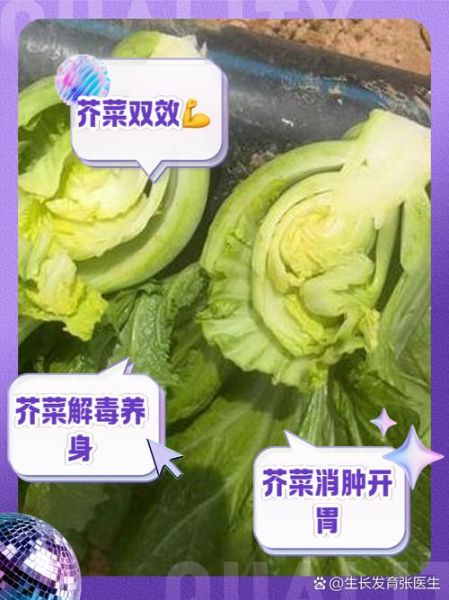 芥菜有哪些品种_芥菜种类怎么区分-第3张图片-山城妙识