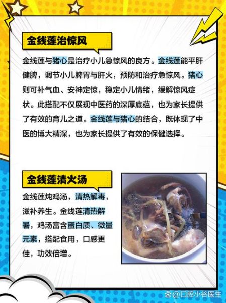 金线莲泡水喝的功效_金线莲泡水一天喝几次-第3张图片-山城妙识 金线莲泡水喝的功效_金线莲泡水一天喝几次-第3张图片-山城妙识