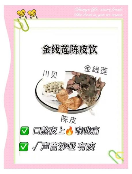 金线莲泡水喝的功效_金线莲泡水一天喝几次-第1张图片-山城妙识 金线莲泡水喝的功效_金线莲泡水一天喝几次-第1张图片-山城妙识