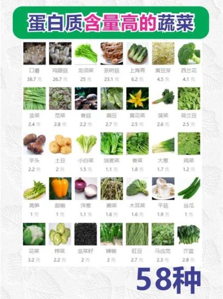 高蛋白蔬菜有哪些_高蛋白蔬菜排行榜-第2张图片-山城妙识