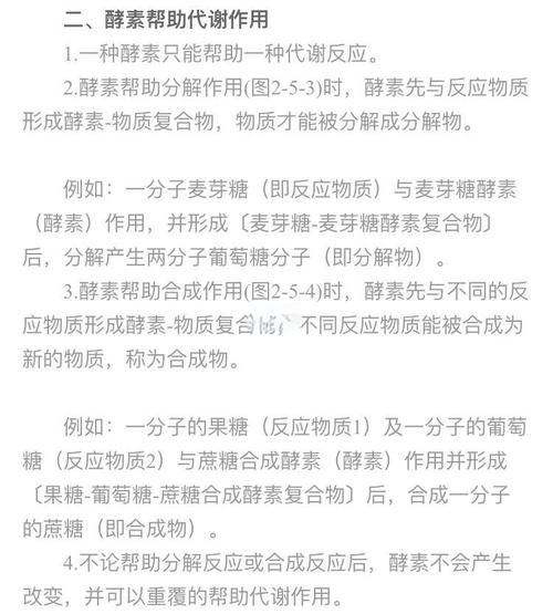 怎样用水果做酵素最好_水果酵素比例是多少-第3张图片-山城妙识 怎样用水果做酵素最好_水果酵素比例是多少-第3张图片-山城妙识
