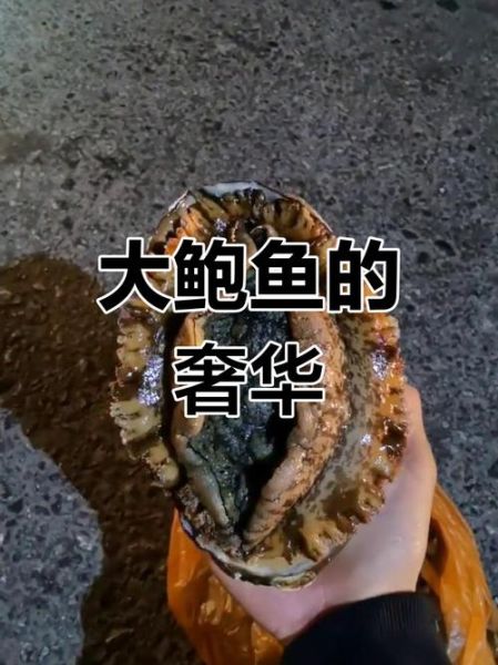 鲍鱼多少钱一斤_鲍鱼价格为什么这么贵-第1张图片-山城妙识 鲍鱼多少钱一斤_鲍鱼价格为什么这么贵-第1张图片-山城妙识