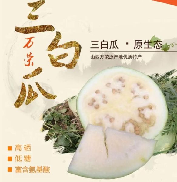 三白瓜适合哪些人吃_三白瓜的禁忌人群有哪些-第1张图片-山城妙识 三白瓜适合哪些人吃_三白瓜的禁忌人群有哪些-第1张图片-山城妙识