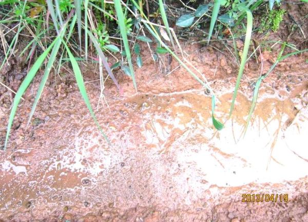 血吸虫病症状有哪些_血吸虫病会传染吗-第3张图片-山城妙识 血吸虫病症状有哪些_血吸虫病会传染吗-第3张图片-山城妙识