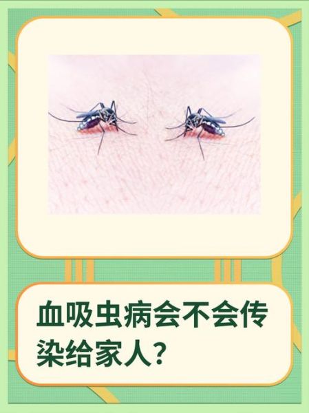 血吸虫病症状有哪些_血吸虫病会传染吗-第1张图片-山城妙识 血吸虫病症状有哪些_血吸虫病会传染吗-第1张图片-山城妙识