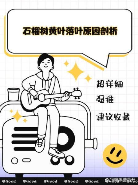 榴莲树叶子发黄怎么办_榴莲树叶脉发黑原因-第1张图片-山城妙识 榴莲树叶子发黄怎么办_榴莲树叶脉发黑原因-第1张图片-山城妙识