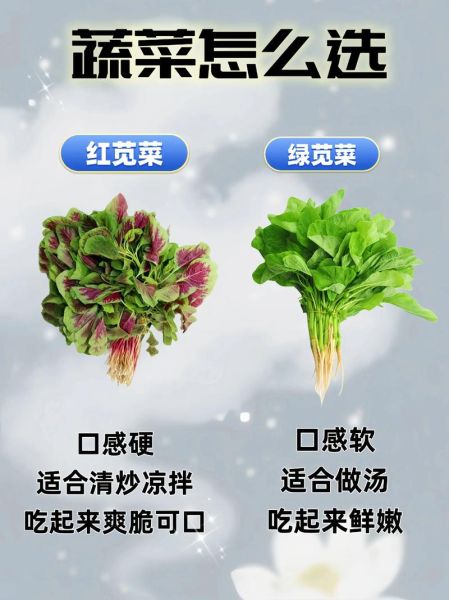 苋菜为什么不能晚上吃_晚上吃苋菜有什么危害-第2张图片-山城妙识 苋菜为什么不能晚上吃_晚上吃苋菜有什么危害-第2张图片-山城妙识