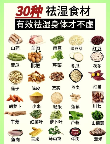 吃什么东西除湿气_湿气重吃什么食物好-第1张图片-山城妙识