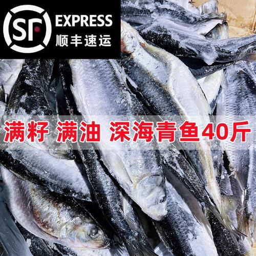 青鱼俗名叫什么_青鱼为什么叫黑鲩-第2张图片-山城妙识