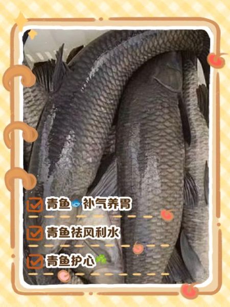 青鱼俗名叫什么_青鱼为什么叫黑鲩-第1张图片-山城妙识