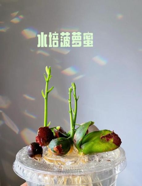 菠萝菠萝蜜怎么吃_菠萝菠萝蜜怎么保存-第3张图片-山城妙识 菠萝菠萝蜜怎么吃_菠萝菠萝蜜怎么保存-第3张图片-山城妙识