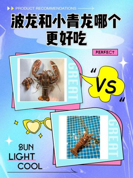 波龙和澳龙的区别_红龙青龙哪个更好吃-第1张图片-山城妙识 波龙和澳龙的区别_红龙青龙哪个更好吃-第1张图片-山城妙识