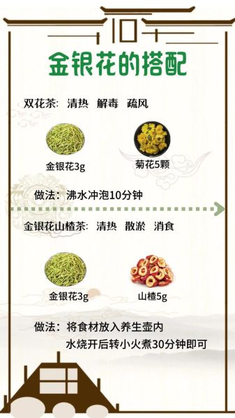 金银花和什么搭配泡水好_金银花最佳搭配有哪些-第1张图片-山城妙识 金银花和什么搭配泡水好_金银花最佳搭配有哪些-第1张图片-山城妙识