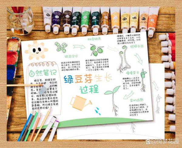 绿豆发芽观察日记8天怎么做_绿豆芽每天变化记录-第2张图片-山城妙识 绿豆发芽观察日记8天怎么做_绿豆芽每天变化记录-第2张图片-山城妙识