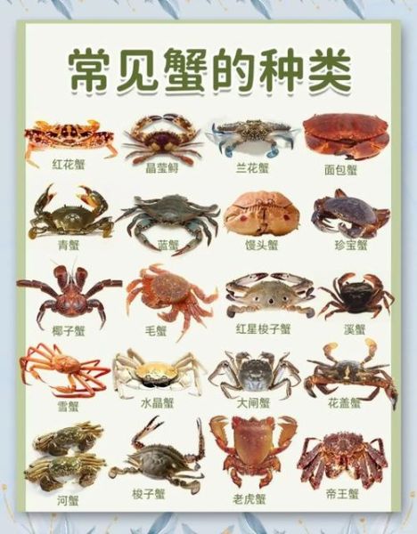 兰花蟹怎么做好吃_兰花蟹清蒸还是香辣-第2张图片-山城妙识 兰花蟹怎么做好吃_兰花蟹清蒸还是香辣-第2张图片-山城妙识