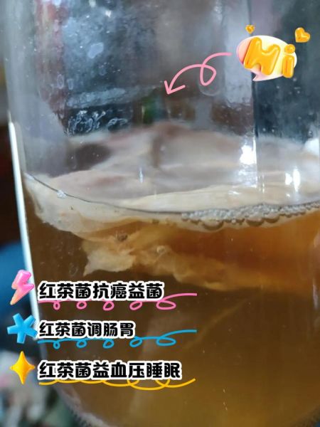 红茶菌的危害有哪些_红茶菌的副作用是什么-第2张图片-山城妙识 红茶菌的危害有哪些_红茶菌的副作用是什么-第2张图片-山城妙识