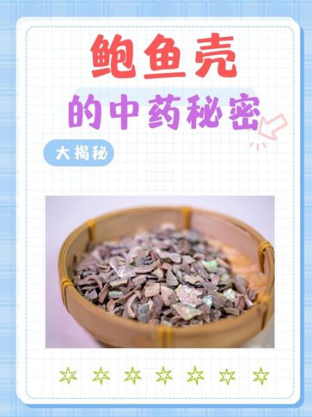 鲍鱼壳的功效与作用_鲍鱼壳的禁忌有哪些-第3张图片-山城妙识 鲍鱼壳的功效与作用_鲍鱼壳的禁忌有哪些-第3张图片-山城妙识