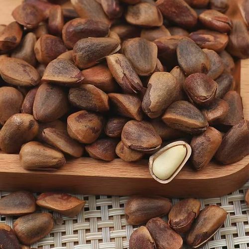 伊春特产有哪些_伊春红松子怎么挑-第2张图片-山城妙识