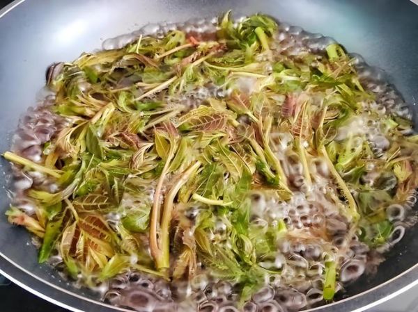 香椿焯水多长时间_香椿焯水几分钟-第1张图片-山城妙识