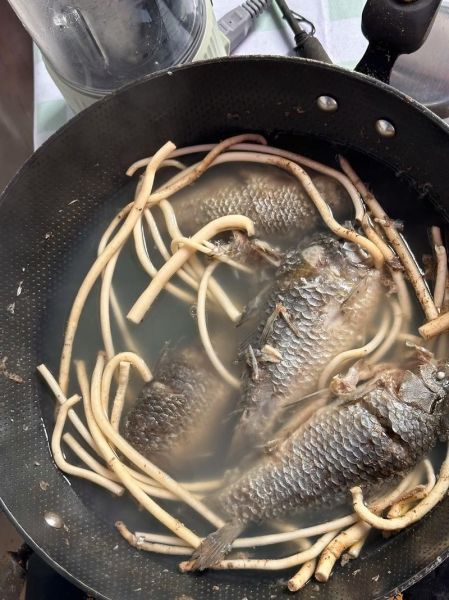 通草鲫鱼汤怎么炖_通草鲫鱼汤下奶做法-第1张图片-山城妙识