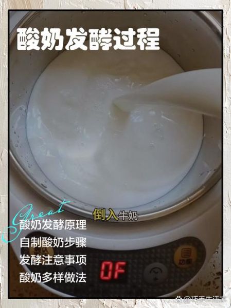 酸奶怎么做_酸奶发酵失败原因-第1张图片-山城妙识