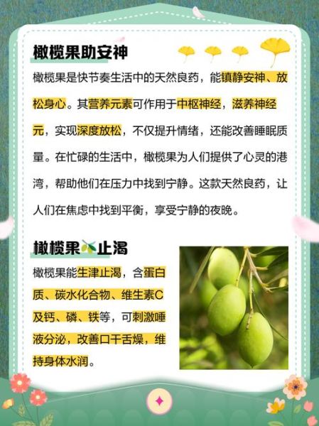 橄榄果的功效与作用及食用方法_怎么吃最健康-第3张图片-山城妙识 橄榄果的功效与作用及食用方法_怎么吃最健康-第3张图片-山城妙识