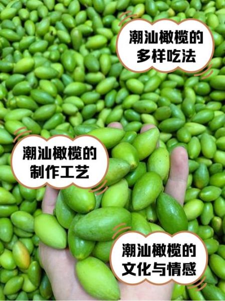 橄榄果的功效与作用及食用方法_怎么吃最健康-第2张图片-山城妙识 橄榄果的功效与作用及食用方法_怎么吃最健康-第2张图片-山城妙识