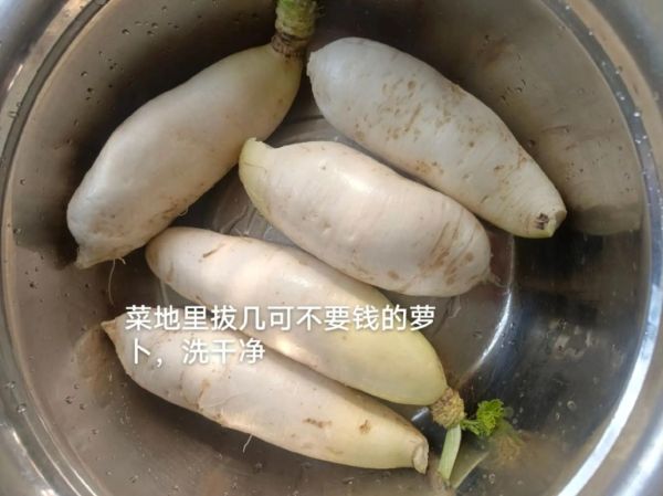 自制泡萝卜的简单做法_泡萝卜怎么保存不烂-第2张图片-山城妙识 自制泡萝卜的简单做法_泡萝卜怎么保存不烂-第2张图片-山城妙识