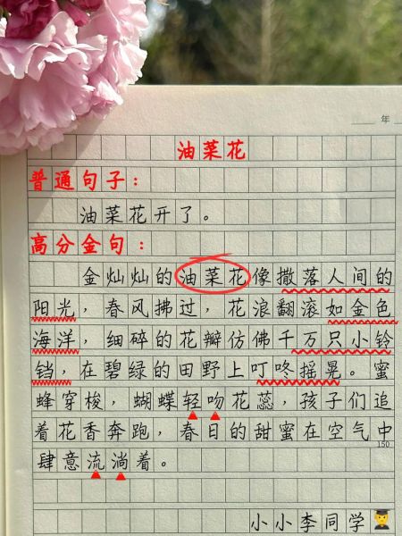 赏油菜花的心情短句_如何写出走心文案-第3张图片-山城妙识 赏油菜花的心情短句_如何写出走心文案-第3张图片-山城妙识