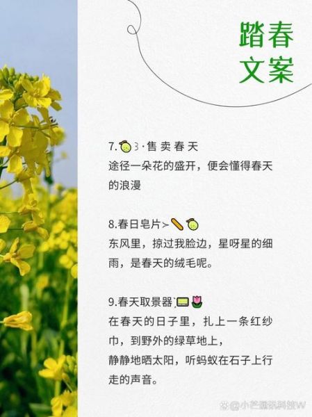 赏油菜花的心情短句_如何写出走心文案-第1张图片-山城妙识 赏油菜花的心情短句_如何写出走心文案-第1张图片-山城妙识