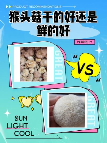 新鲜猴头菇怎么挑选_猴头菇图片真假辨别-第2张图片-山城妙识 新鲜猴头菇怎么挑选_猴头菇图片真假辨别-第2张图片-山城妙识