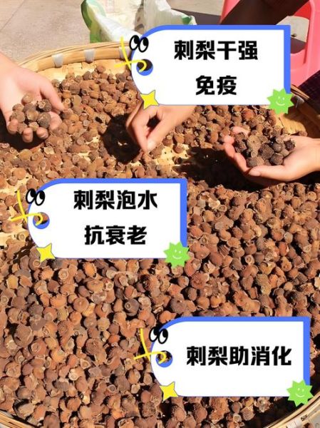 干刺梨泡水喝的功效_干刺梨泡水怎么喝才有效-第2张图片-山城妙识 干刺梨泡水喝的功效_干刺梨泡水怎么喝才有效-第2张图片-山城妙识