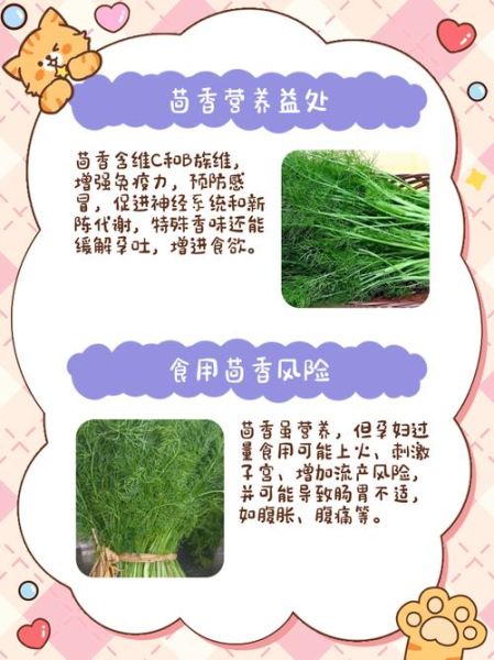 孕妇能吃茴香吗_茴香哪些人不能吃-第3张图片-山城妙识 孕妇能吃茴香吗_茴香哪些人不能吃-第3张图片-山城妙识