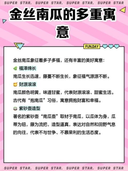 金丝瓜多少钱一斤_金丝瓜价格行情-第2张图片-山城妙识