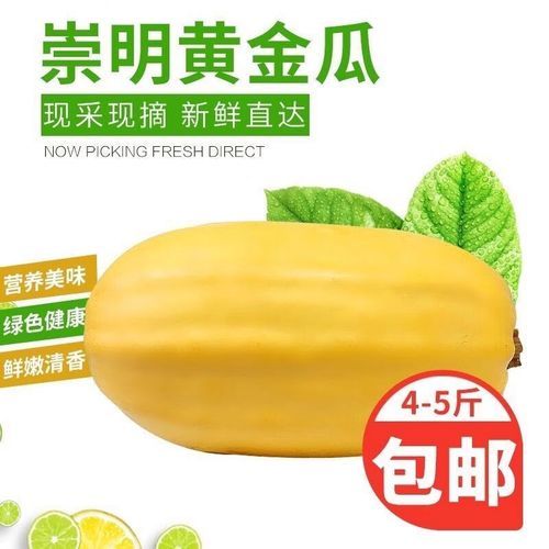 金丝瓜多少钱一斤_金丝瓜价格行情-第1张图片-山城妙识
