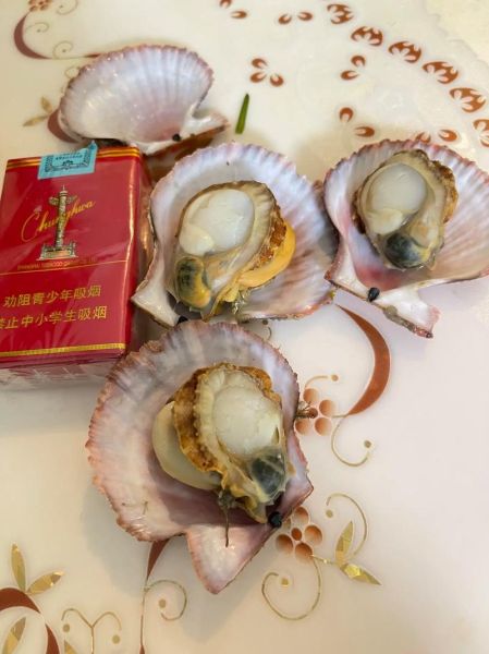 鲜贝的吃法有几种_鲜贝怎么做好吃-第2张图片-山城妙识