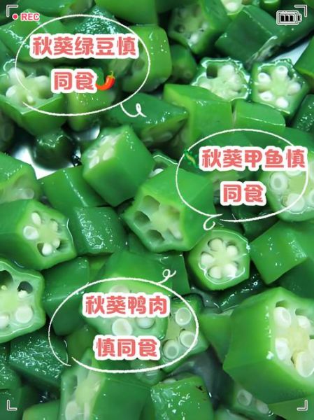 秋葵不能和什么一起吃_秋葵相克食物有哪些-第1张图片-山城妙识
