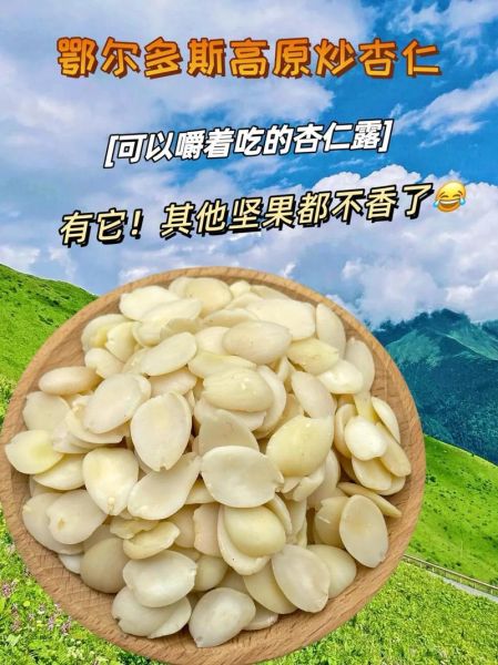 白杏仁怎么吃_白杏仁的正确吃法-第2张图片-山城妙识