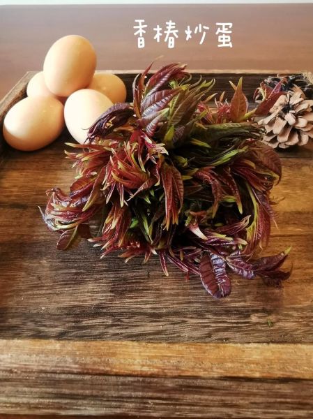 香椿芽炒鸡蛋怎么做_香椿芽炒鸡蛋的做法窍门-第2张图片-山城妙识