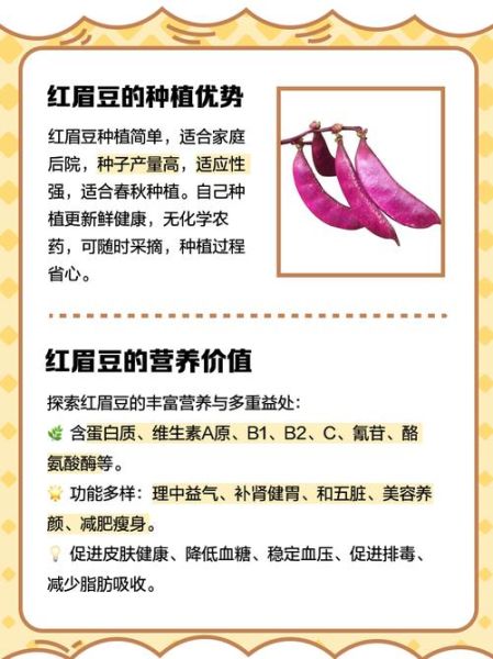 眉豆图片长什么样_眉豆的功效与作用有哪些-第1张图片-山城妙识