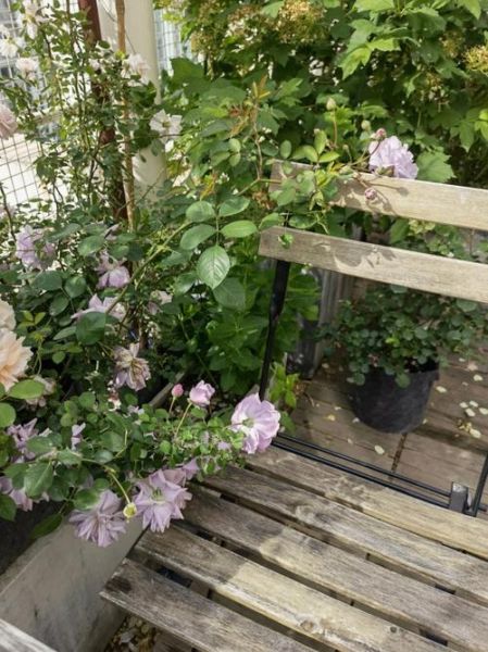 布丁桌面是什么应用带出来的_如何彻底卸载布丁桌面-第2张图片-山城妙识