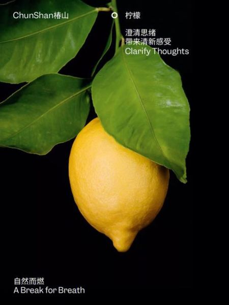 柠檬英语怎么读_lemon发音技巧-第2张图片-山城妙识 柠檬英语怎么读_lemon发音技巧-第2张图片-山城妙识