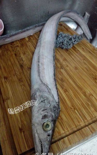 带鱼鱼鳞怎么去除_带鱼不去鳞能吃吗-第3张图片-山城妙识 带鱼鱼鳞怎么去除_带鱼不去鳞能吃吗-第3张图片-山城妙识