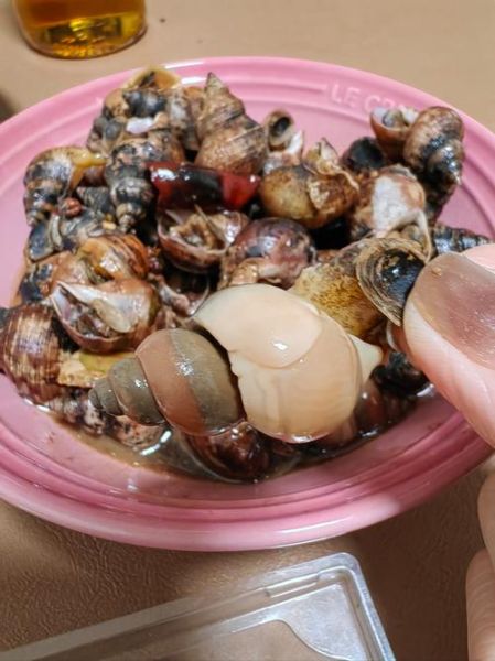 香螺煮多久_香螺煮多长时间才熟-第1张图片-山城妙识 香螺煮多久_香螺煮多长时间才熟-第1张图片-山城妙识